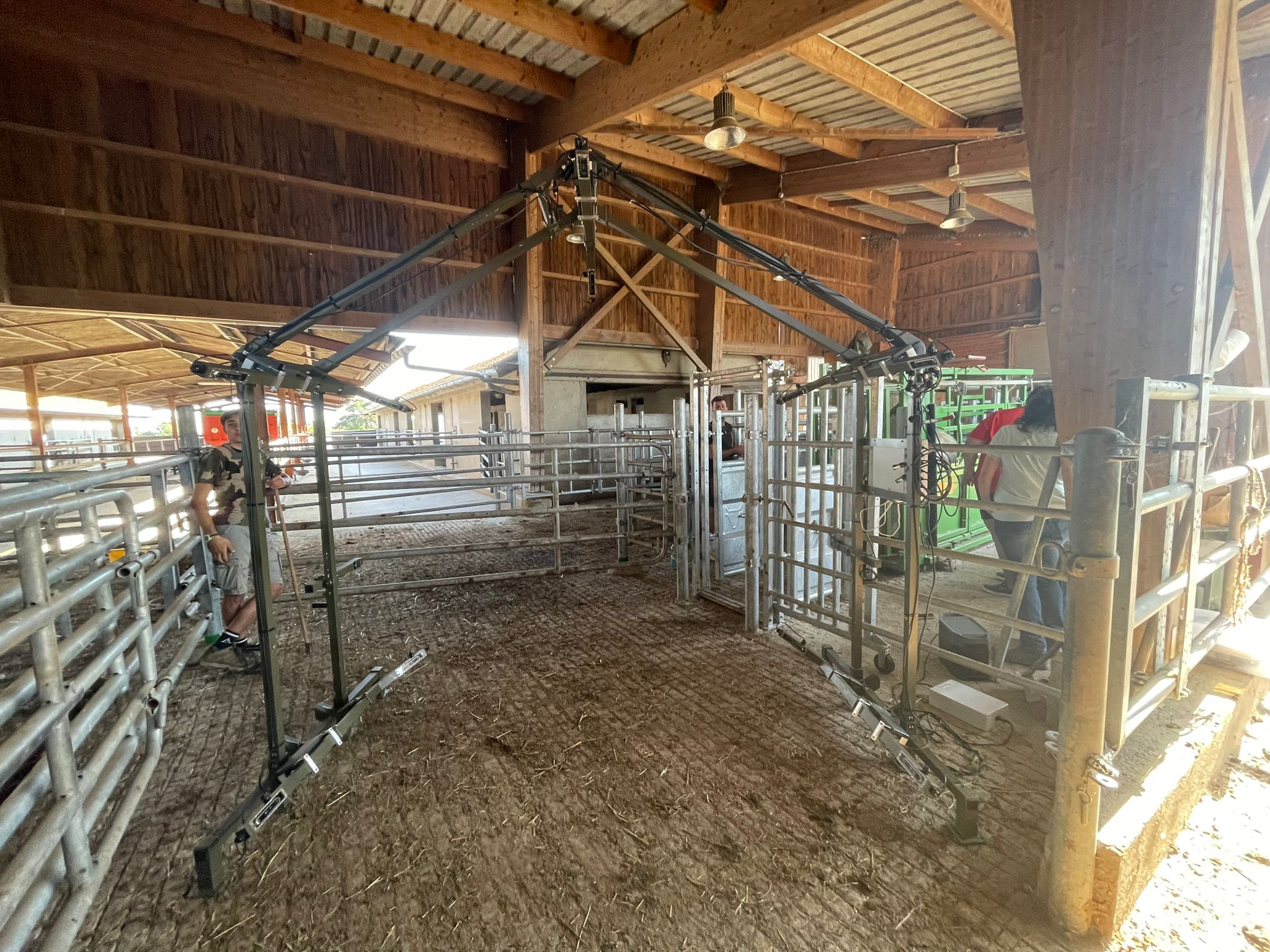 Gasconne des Pyrénées